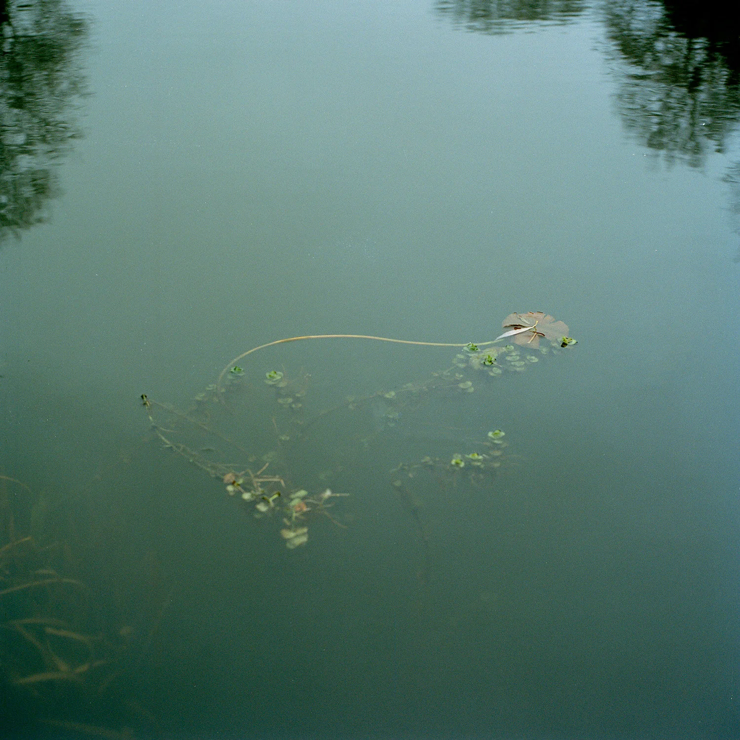 Eva Watkins — Anywhere Blvd