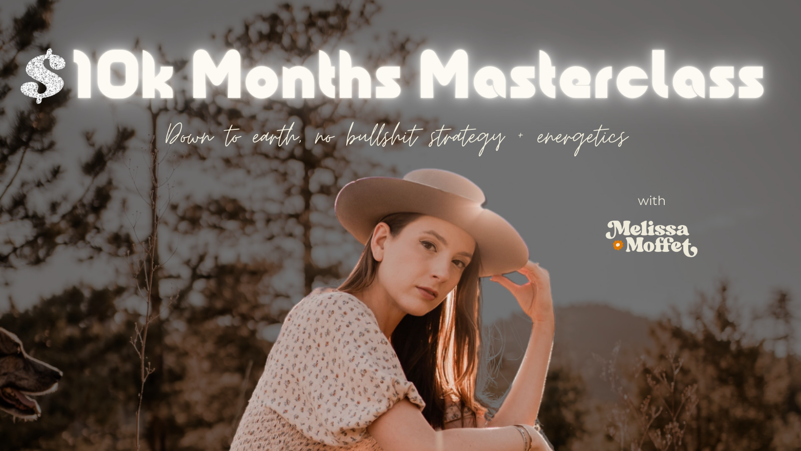 StoreFront — Melissa Moffet