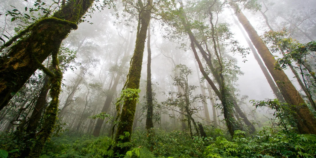 Our Projects — Ekos