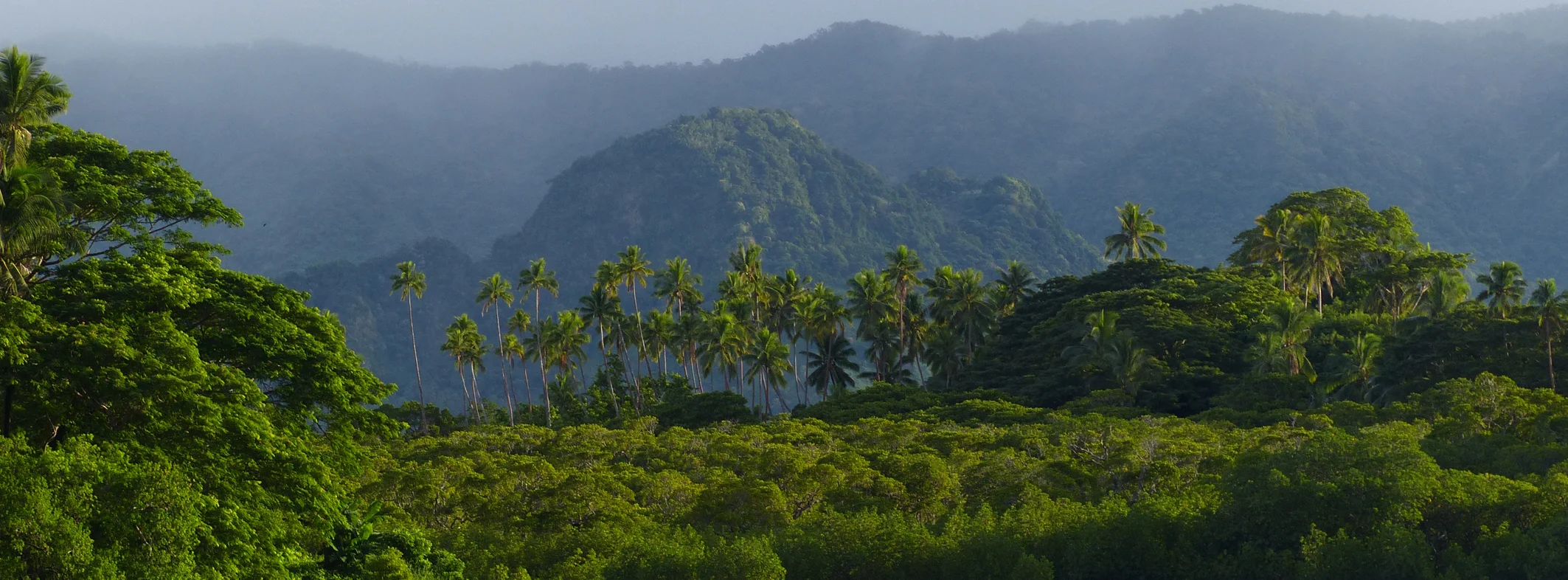 Our Projects — Ekos