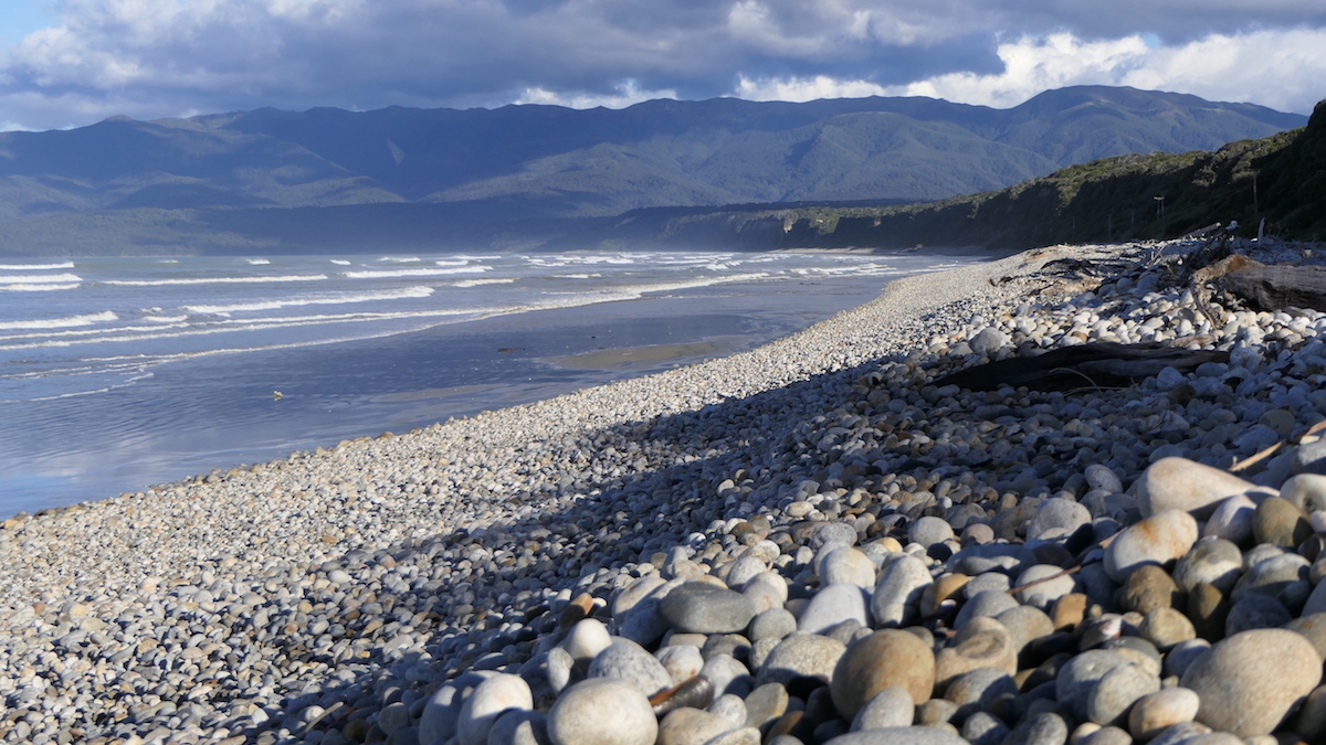 Our Projects — Ekos