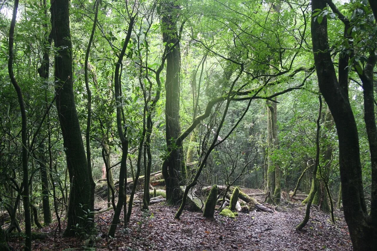 Our Projects — Ekos