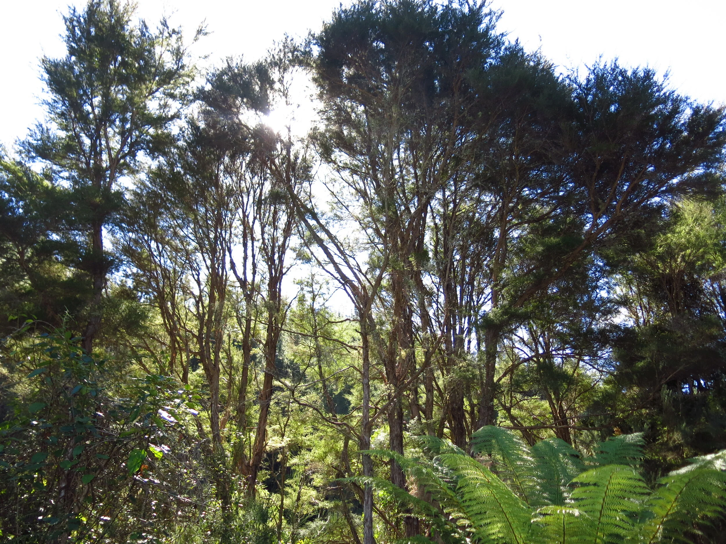 Our Projects — Ekos