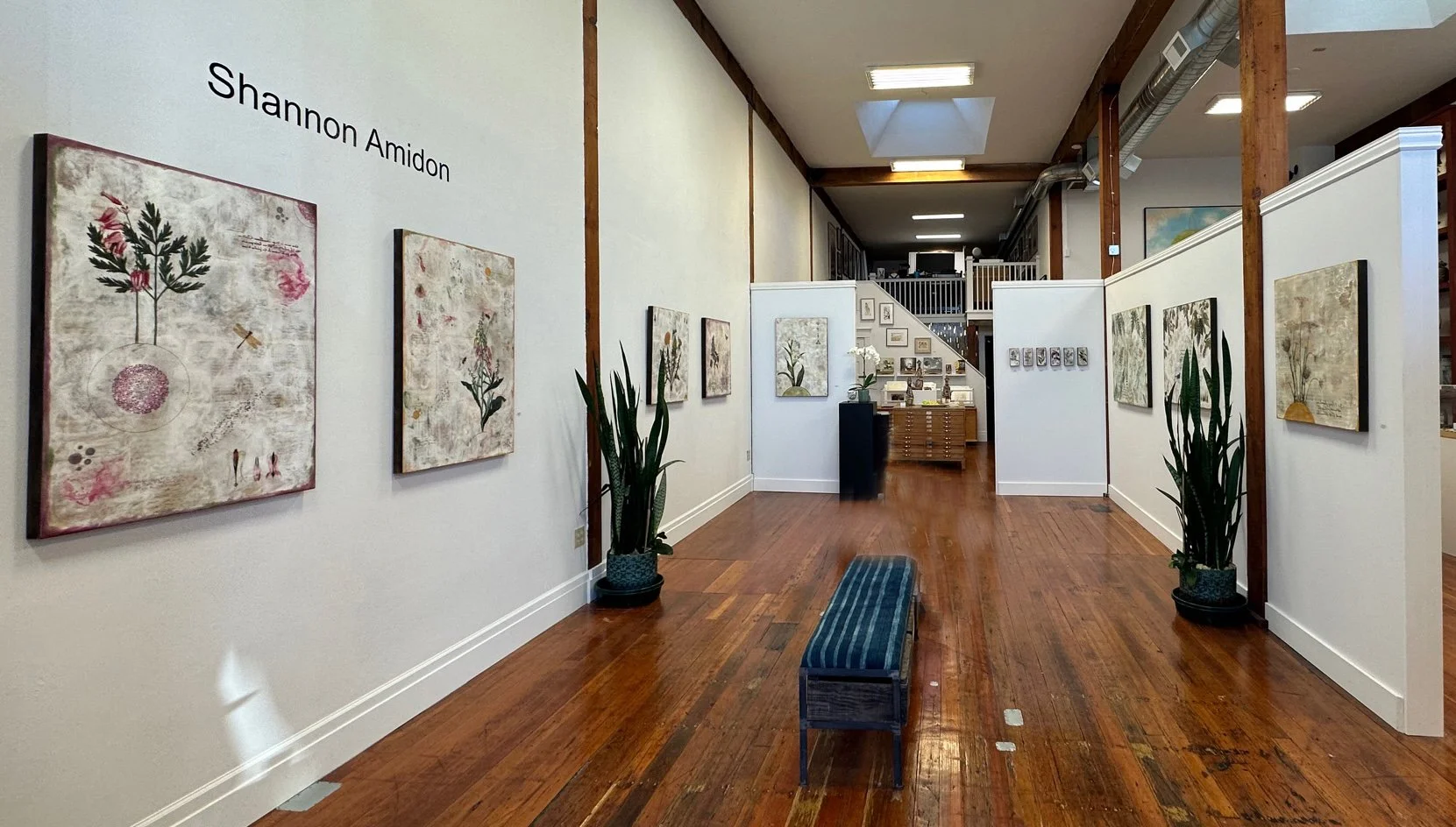 Shannon Amidon Artist