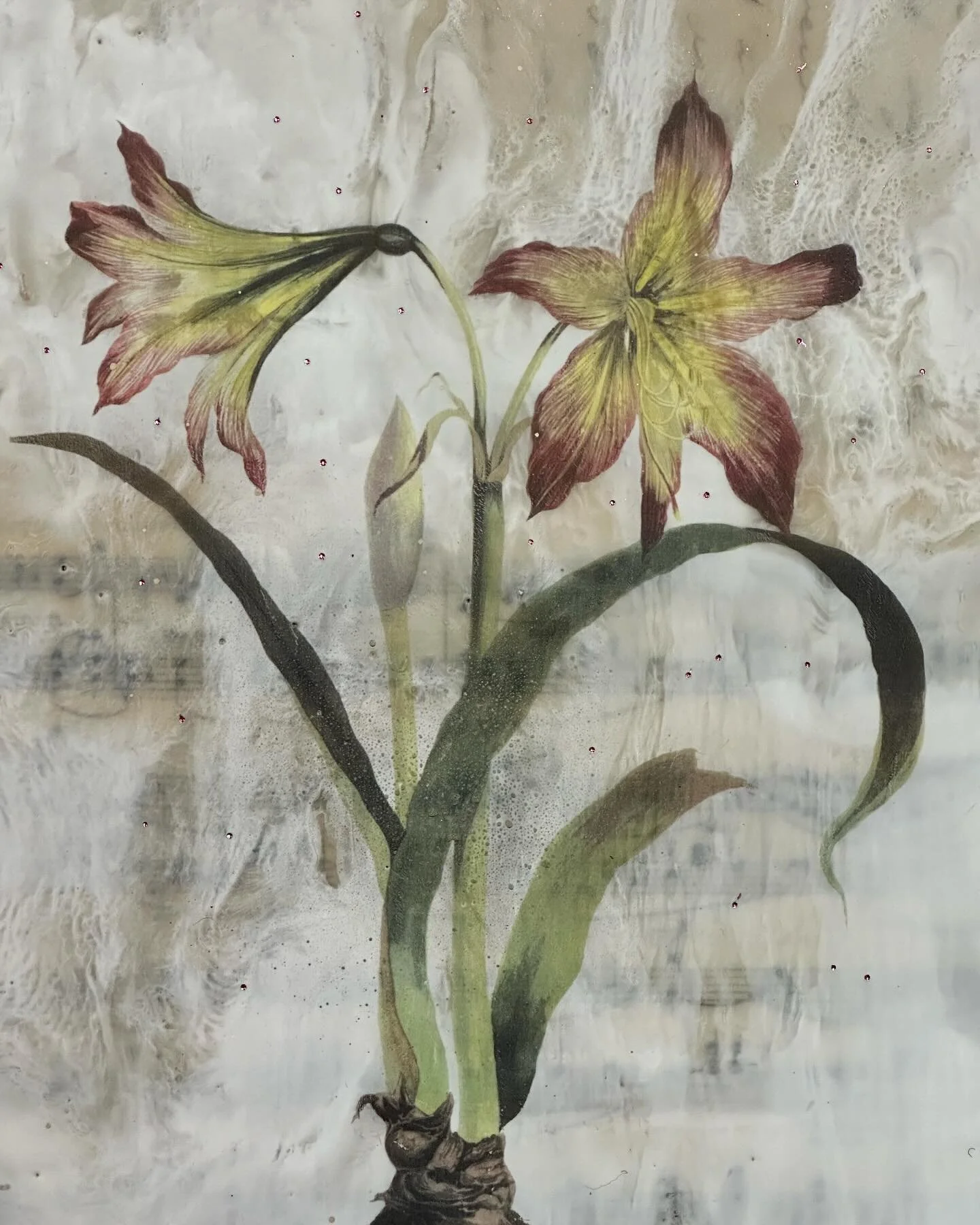 Shannon Amidon Artist