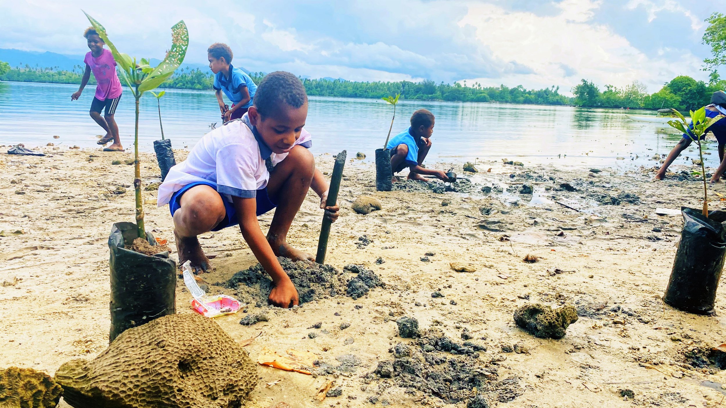 Community responses to climate change on Madang’s North Coast Road — AHP