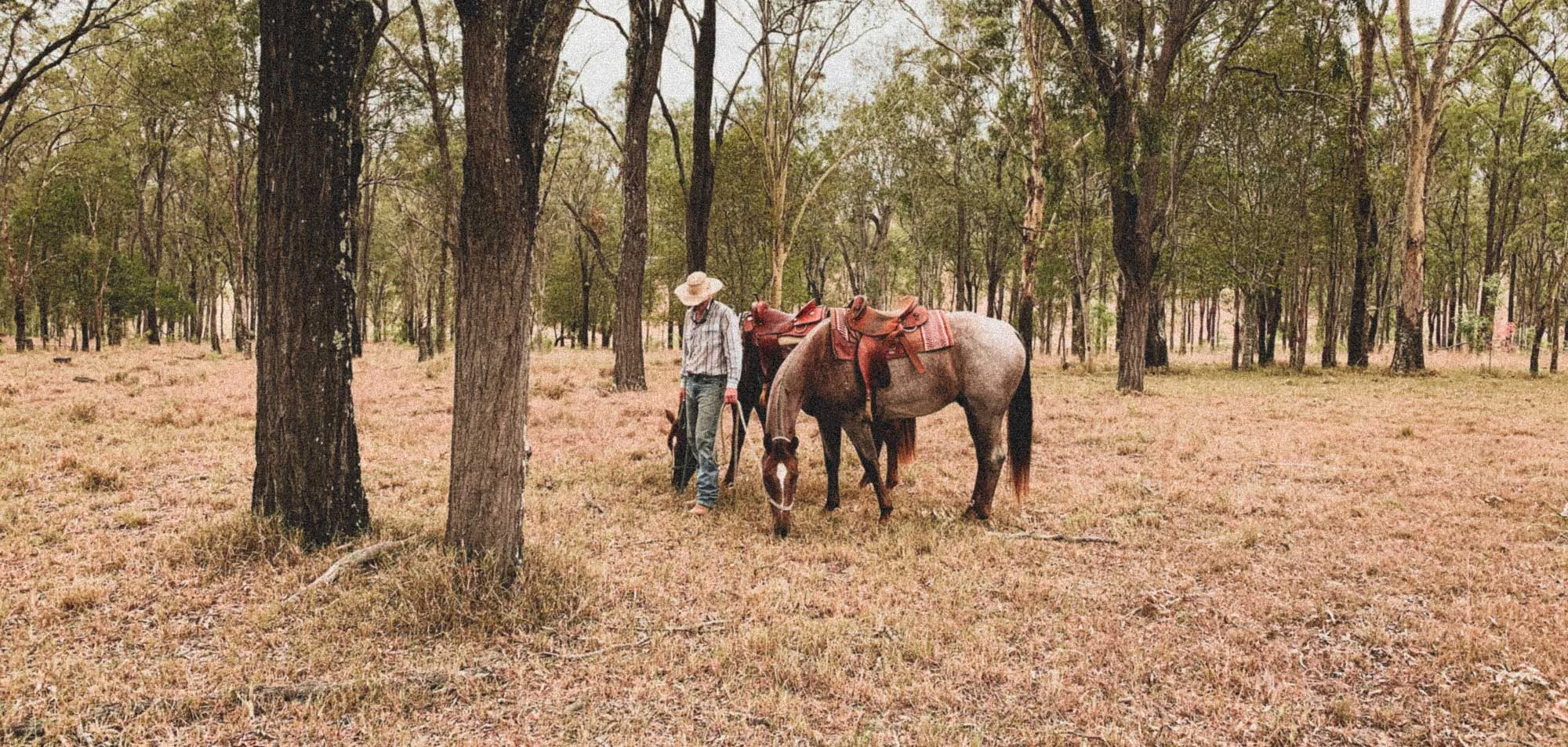 Ian Saunders Custom Saddles