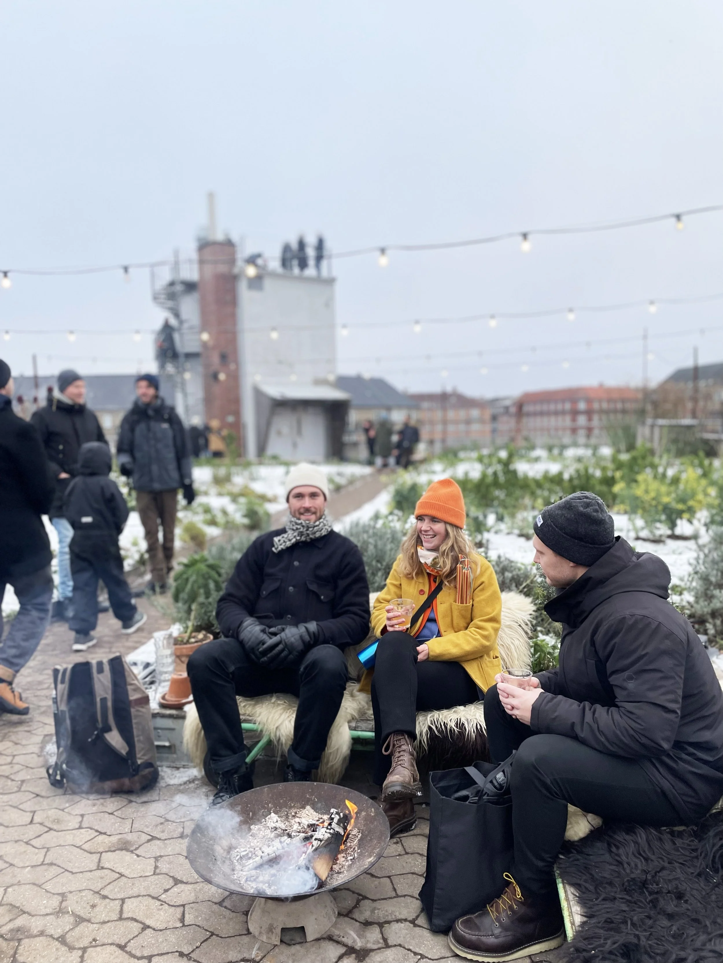 Enjoy a seasonal dinner on the roopftop farm — Gro Spiseri