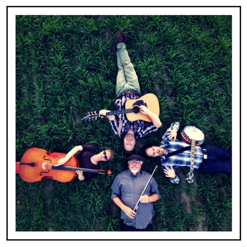 Live Music — Tranche Estate