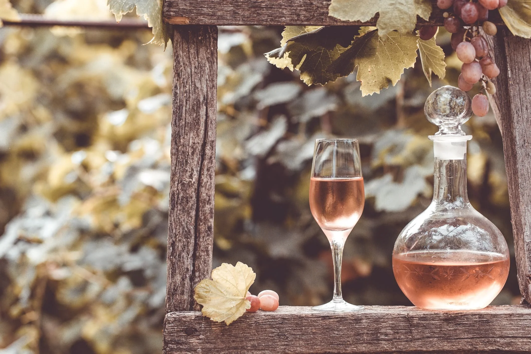 The 5 Best Low-Sugar Rosé Wines