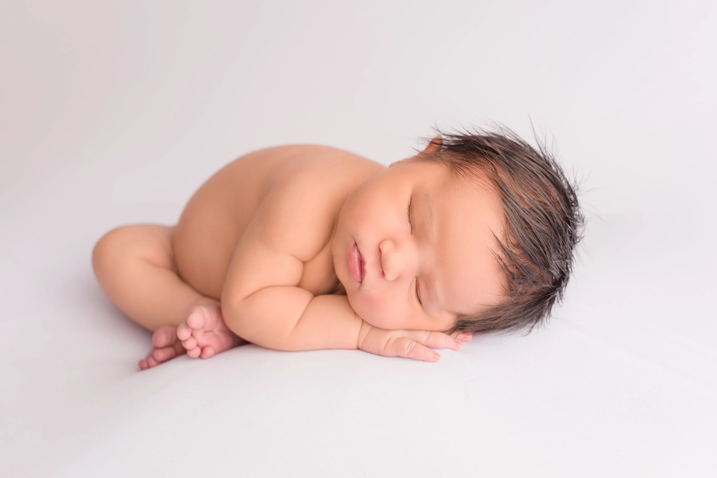 HOME — SHUTTER & BLOOM