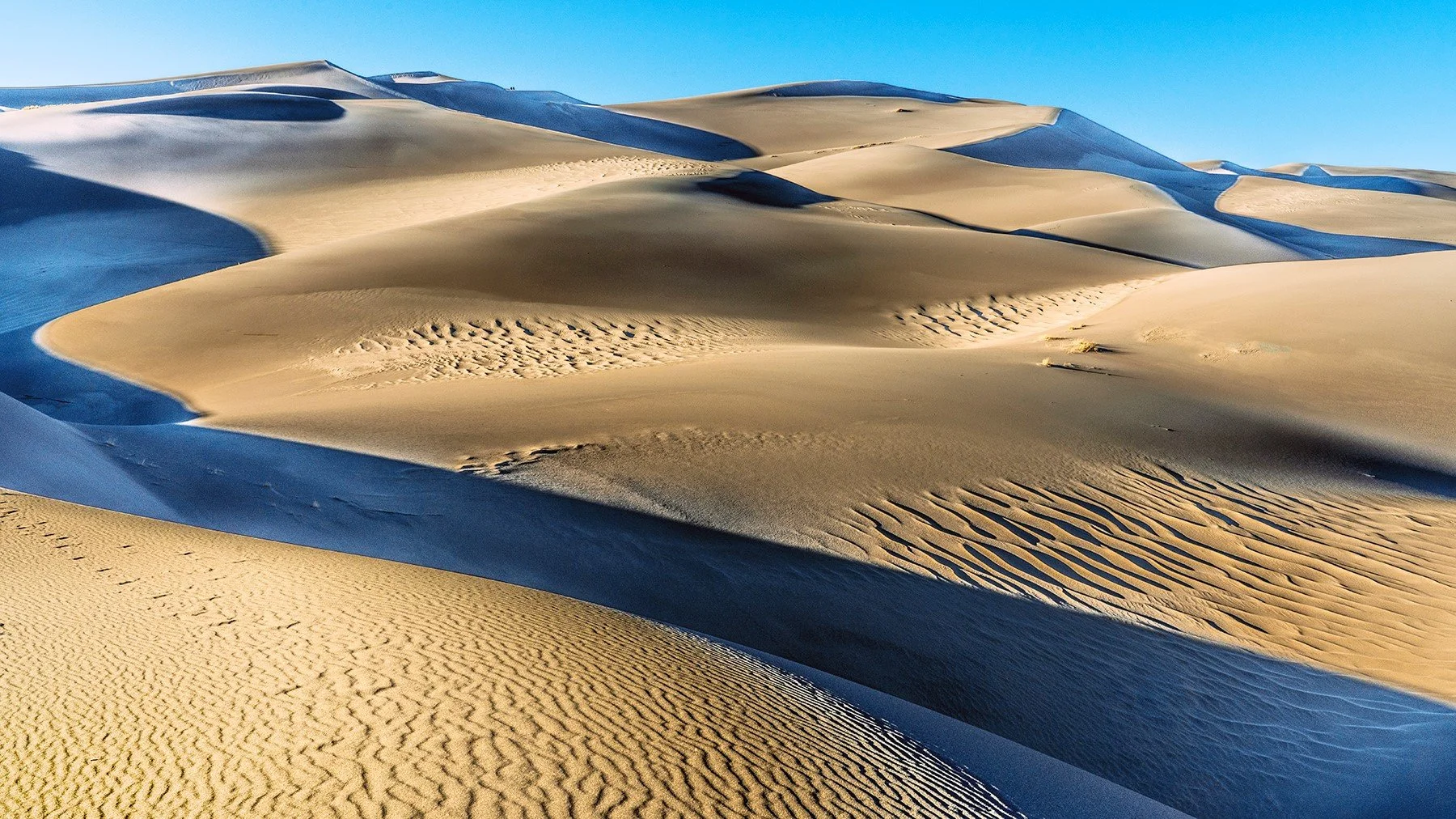 Richard Sundeen | Red Brick Center for the Arts