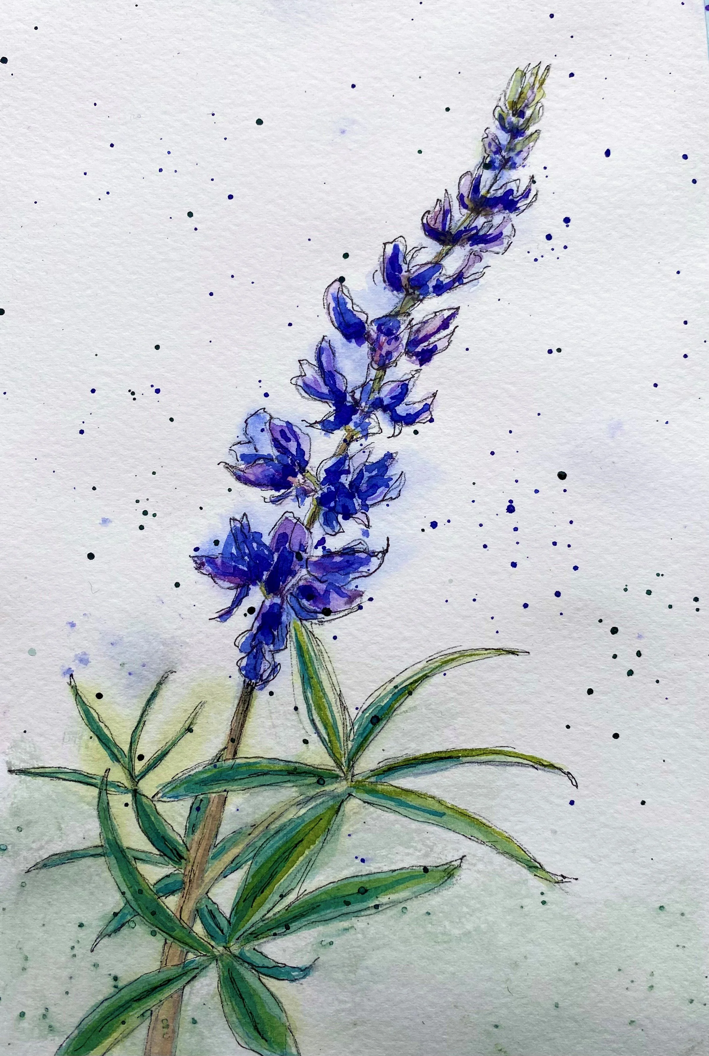 Adult Watercolor Class | Red Brick Center for the Arts