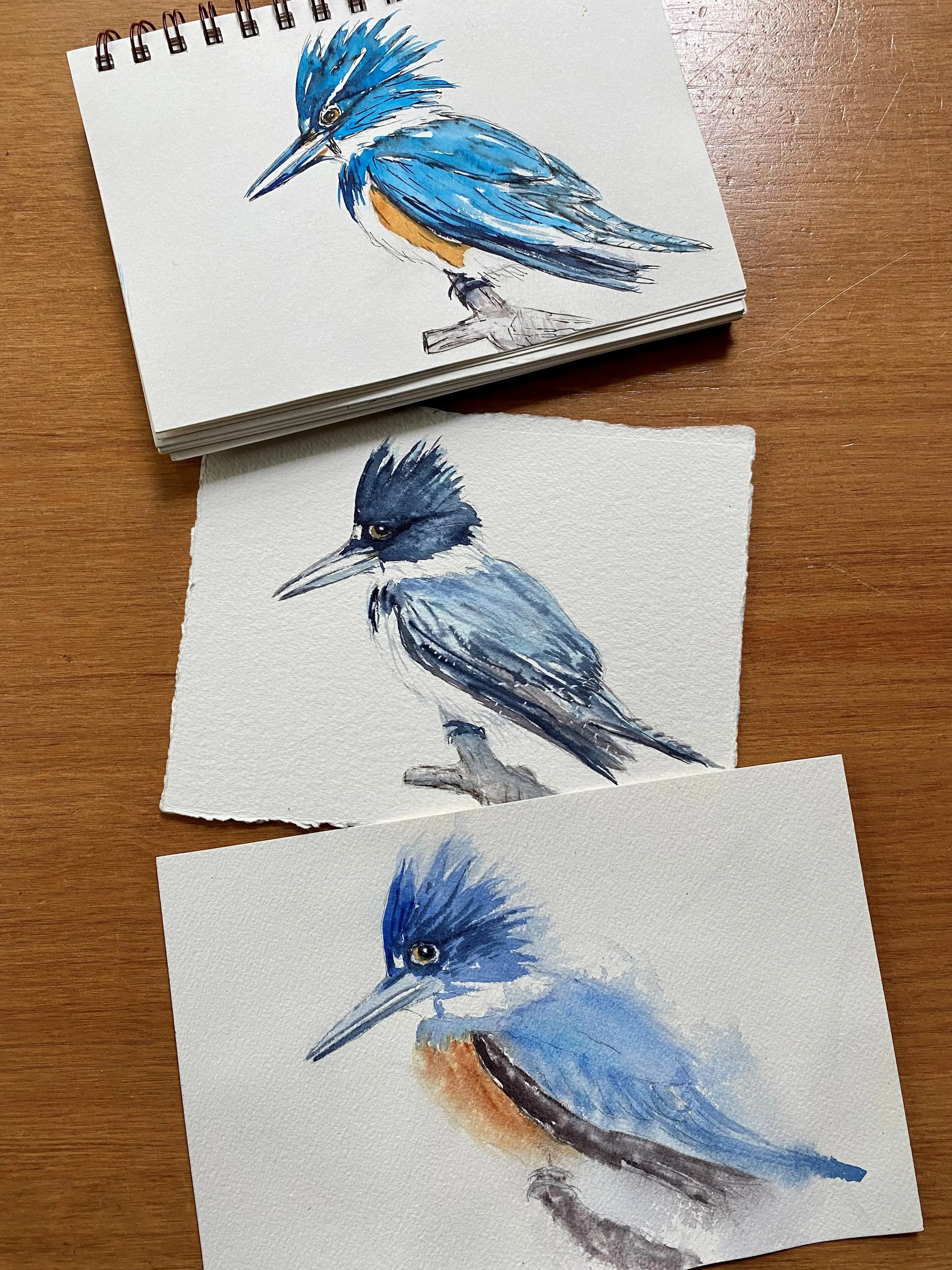 Adult Watercolor Class | Red Brick Center for the Arts