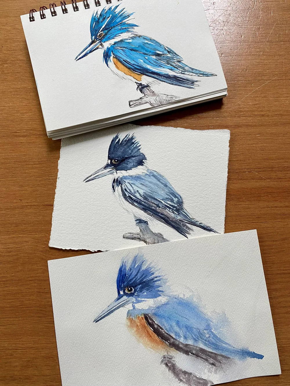Adult Watercolor Class | Red Brick Center for the Arts