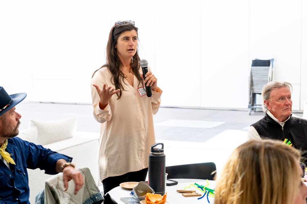 Aspen Public Art Plan | Red Brick Center for the Arts