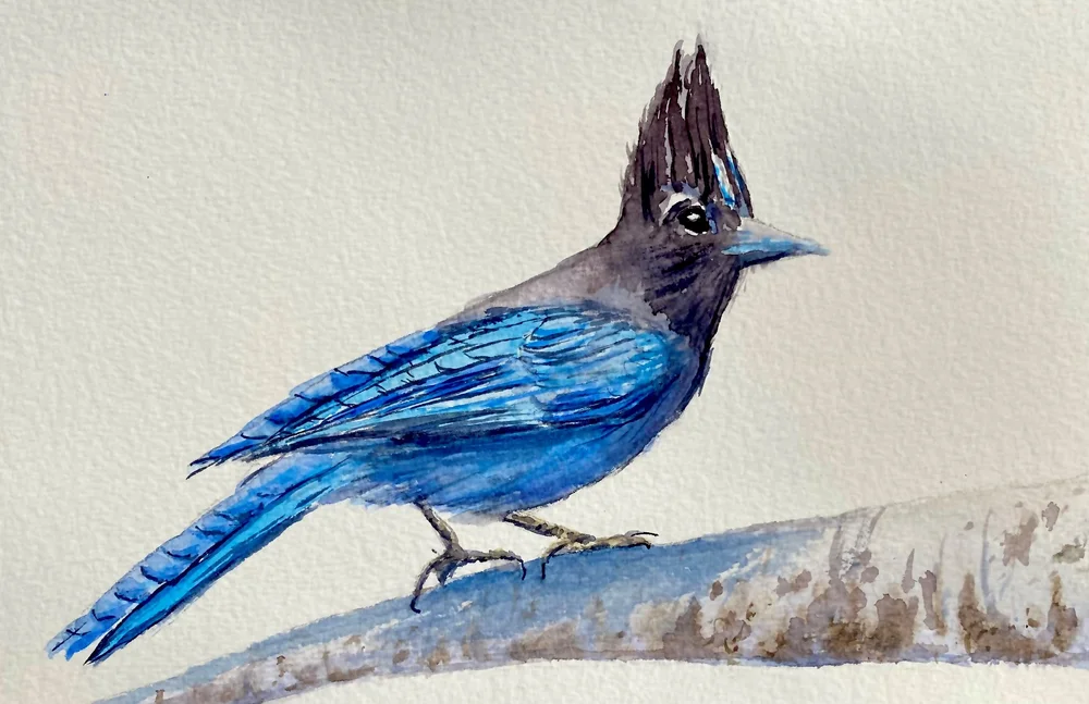 Adult Watercolor Class | Red Brick Center for the Arts