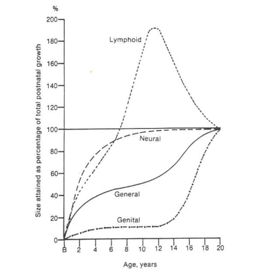 소아 장기별 단계별 성장 유형 성장곡선(scammon curve) : 네이버 블로그