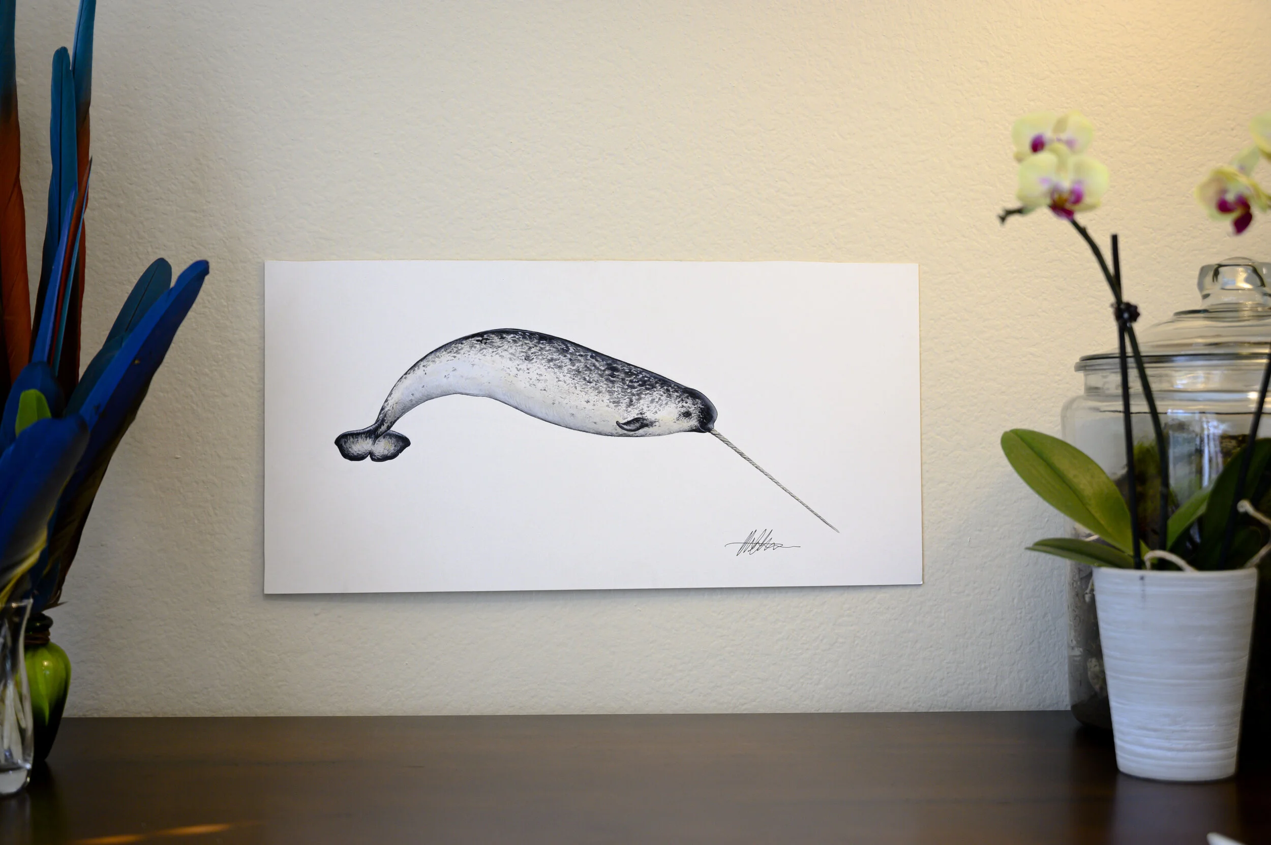 STORE — Matthew Messina