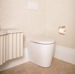 GET THE LOOK - POWDER ROOM - HOUSE 13 — THREE BIRDS RENOVATIONS