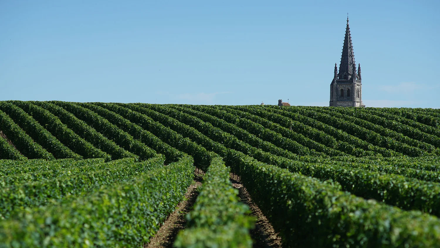 Saint-Emilion — Jean-Pierre Moueix