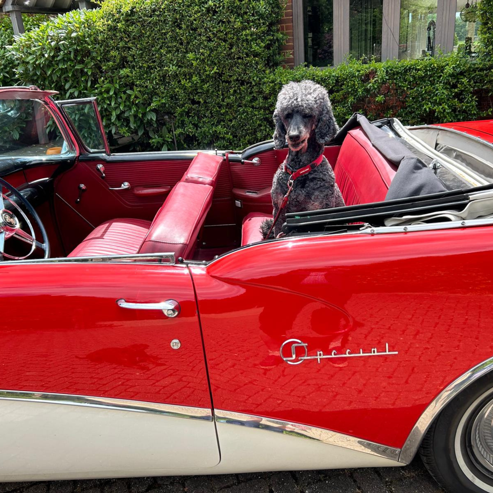 Our Team — Classic Car Hire