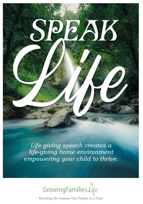 Resources - Life Series — GrowingFamilies.Life