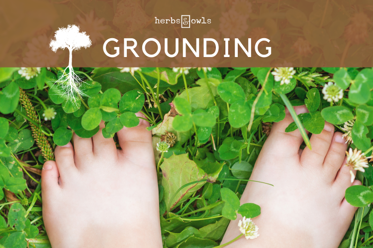 Herbal Medicine Blog — Herbs & Owls