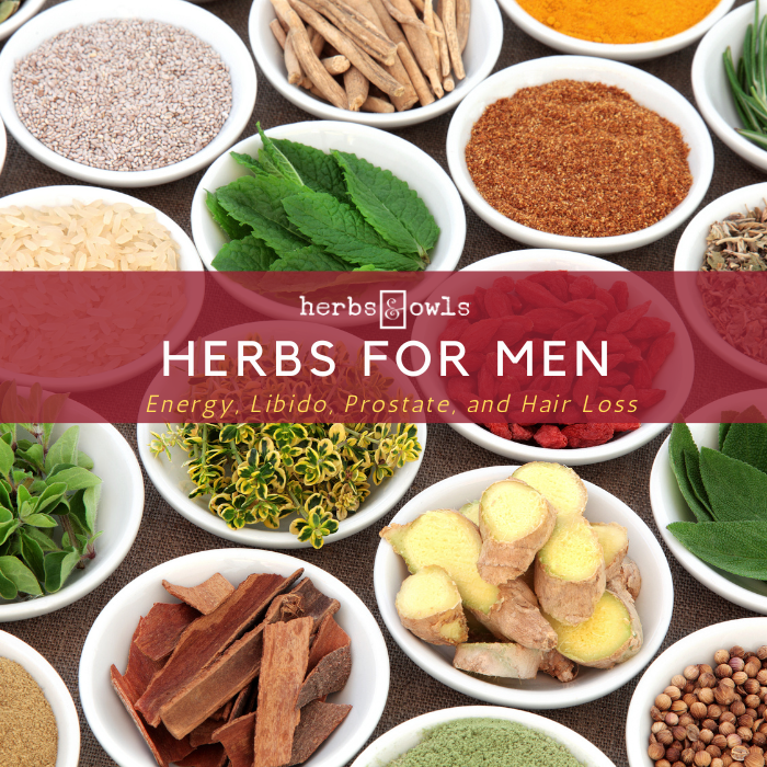 Herbal Medicine Blog — Herbs & Owls