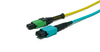 MTP®/MPO PRO Patch Cables | NetSource, USA