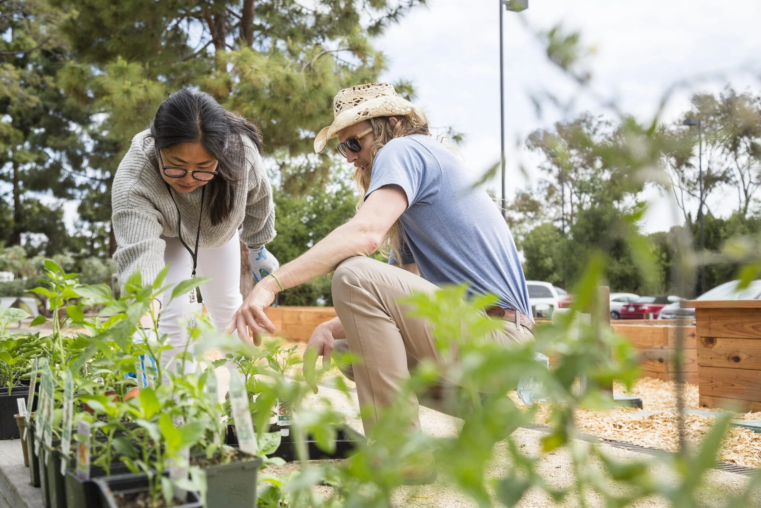Employee Gardening Programs — StartOrganic