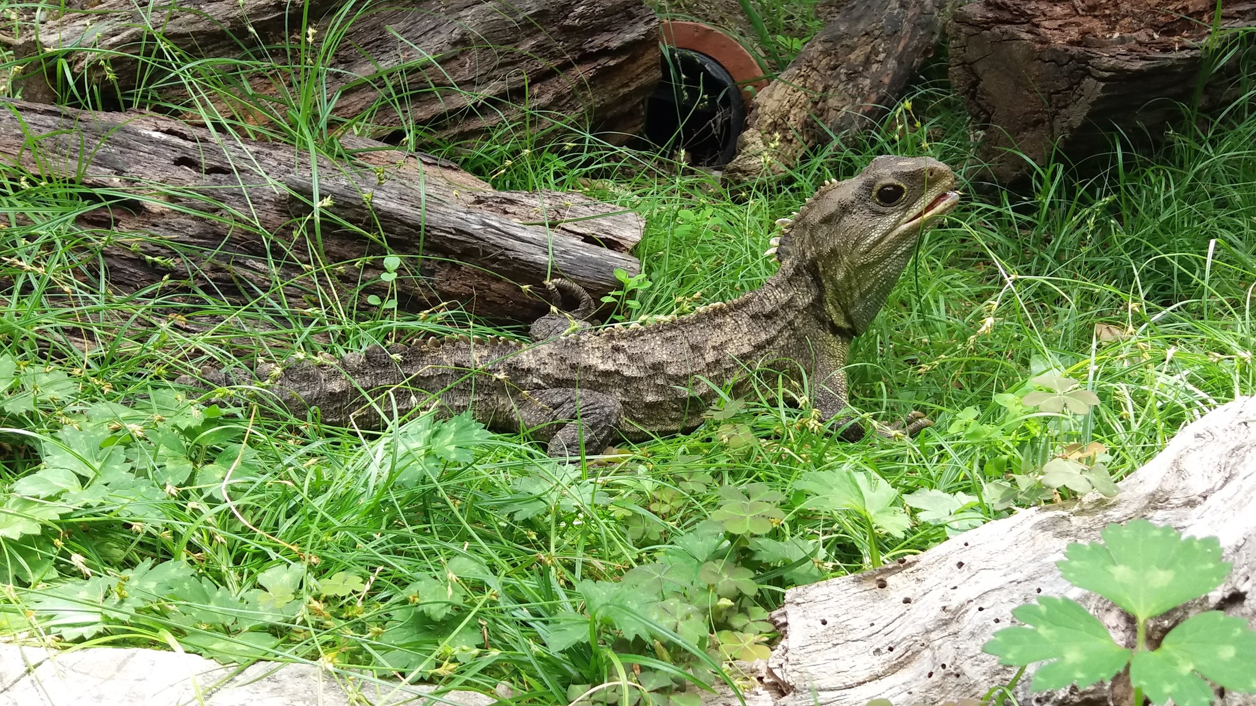 Natureland Wildlife Trust