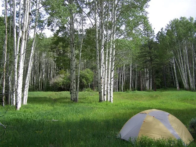 Where To Camp in Great Basin National Park — Discover Great Basin