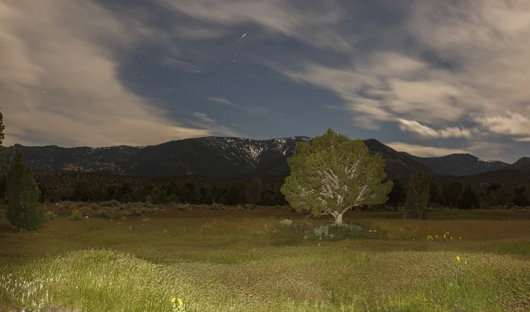 Where To Camp in Great Basin National Park — Discover Great Basin