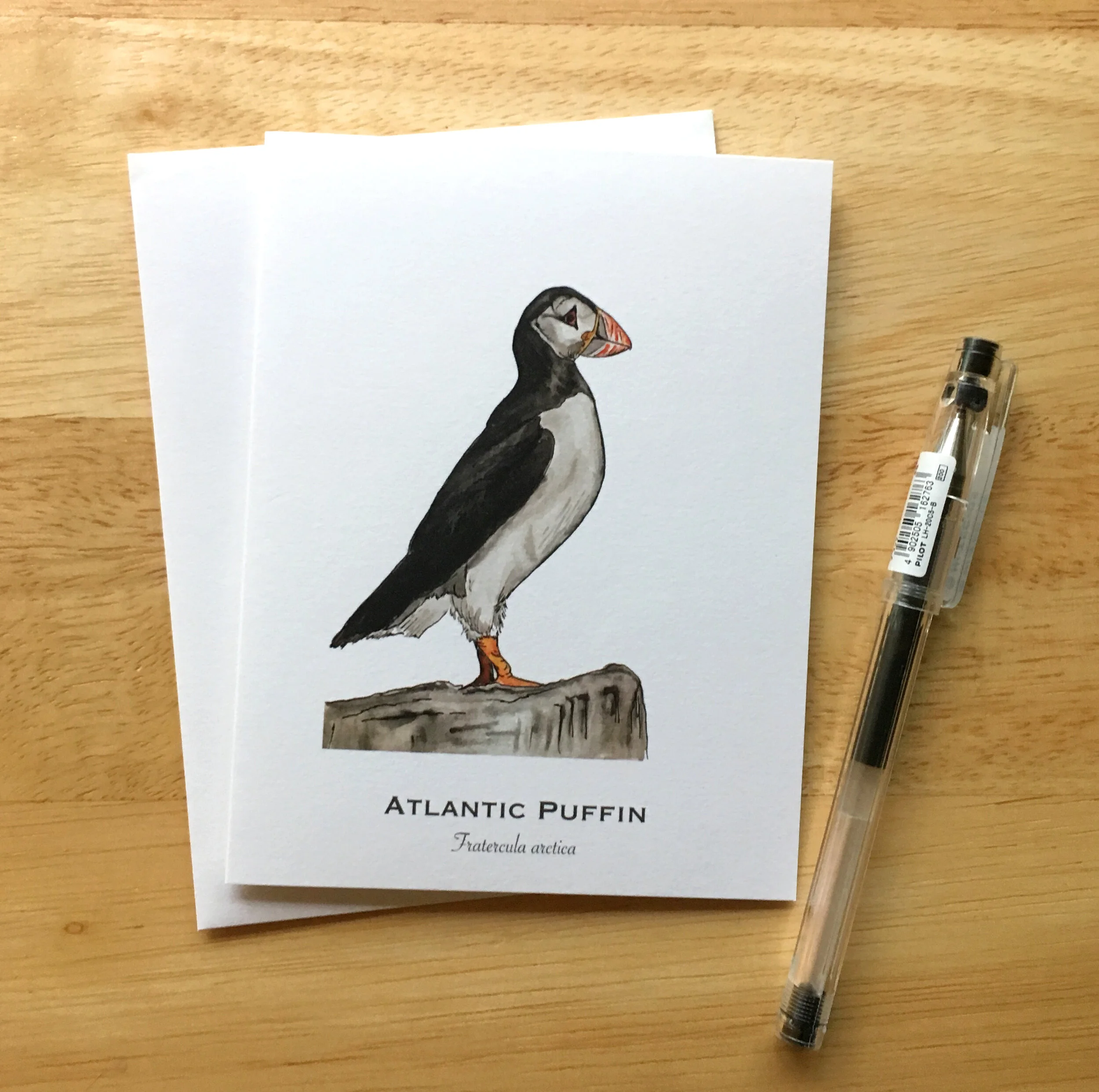 Doofy Birds Art — Deerhawk