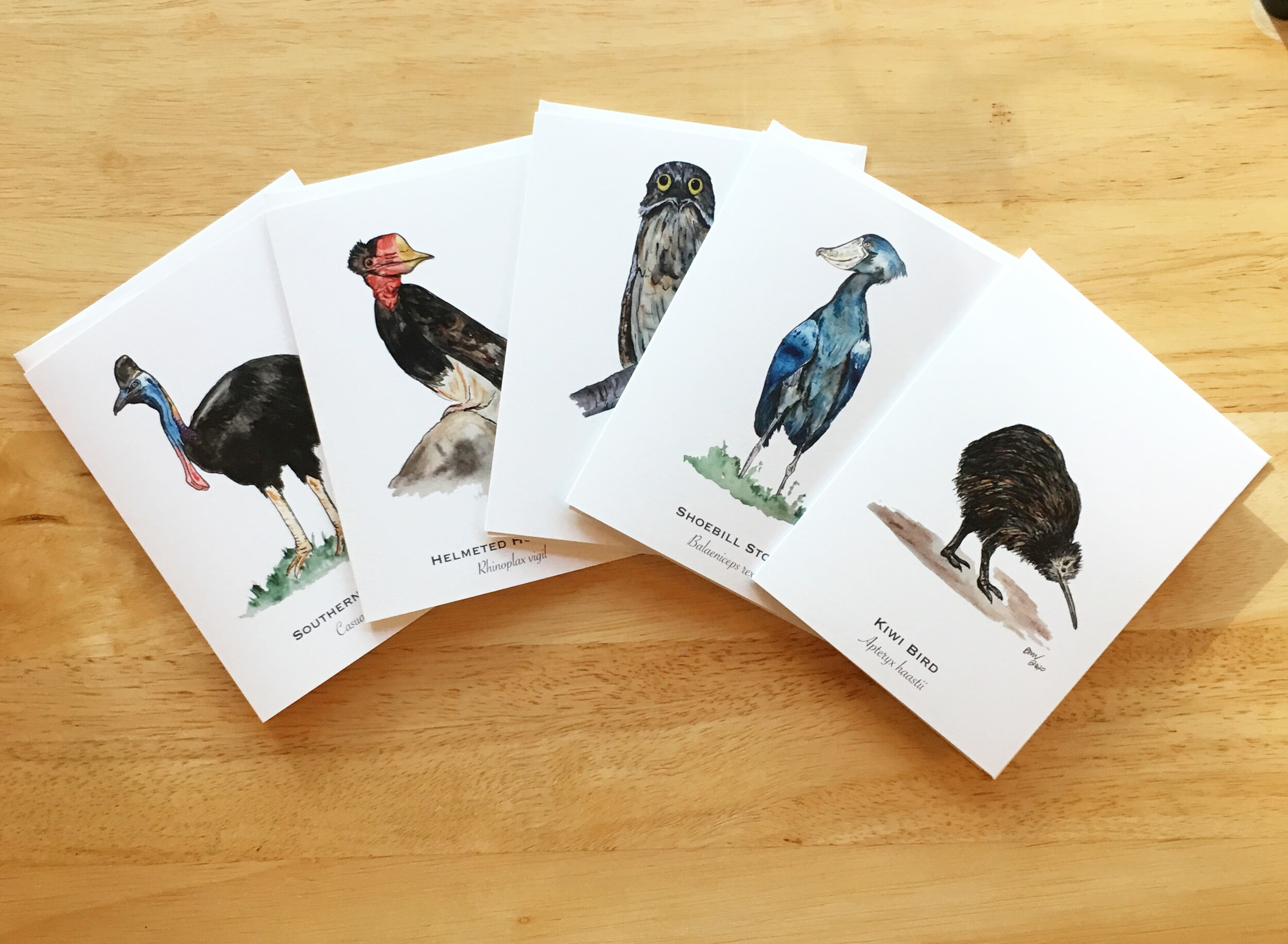 Doofy Birds Art — Deerhawk