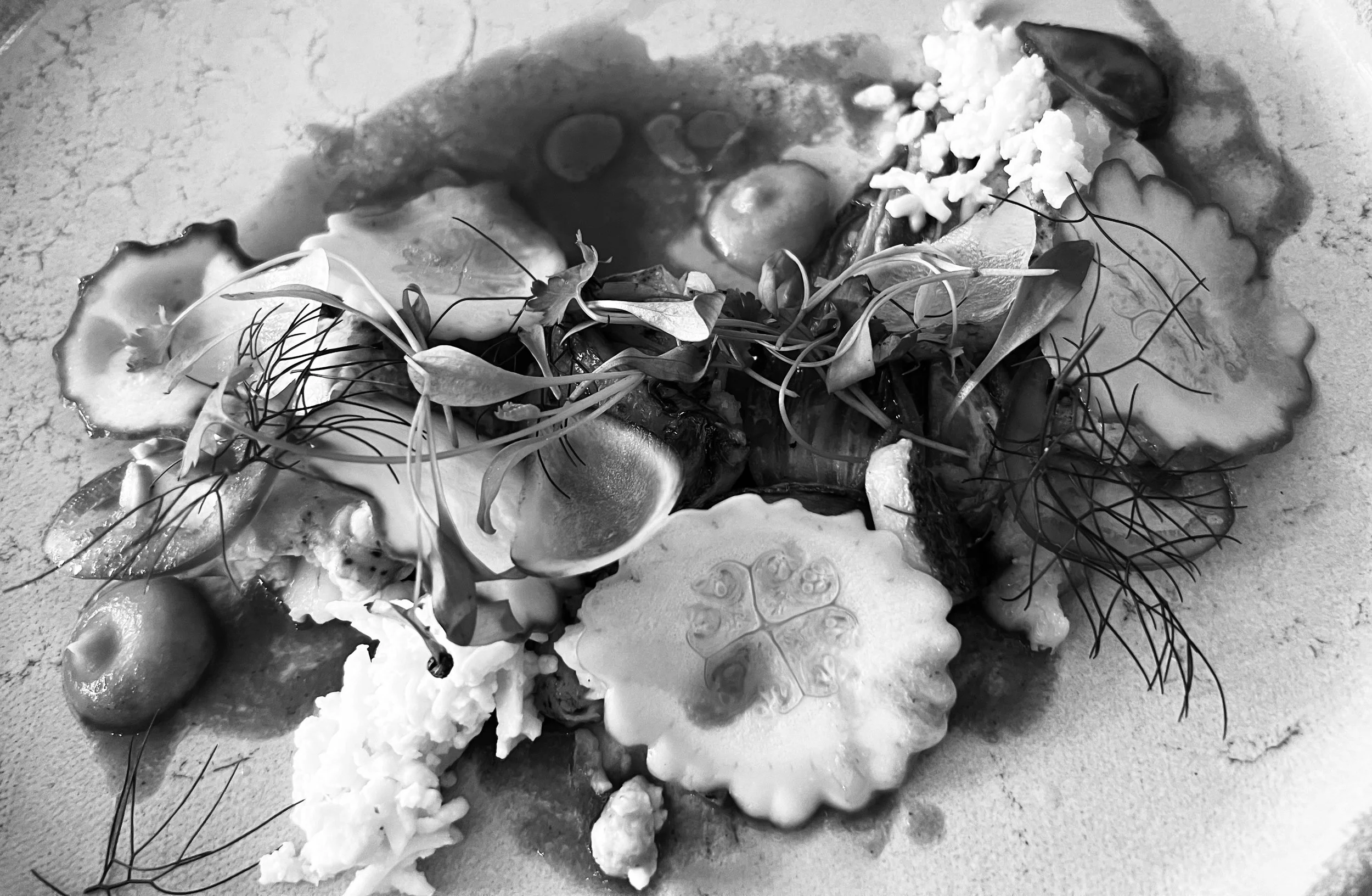 Blog Kristie Leigh blog-kristie-leigh