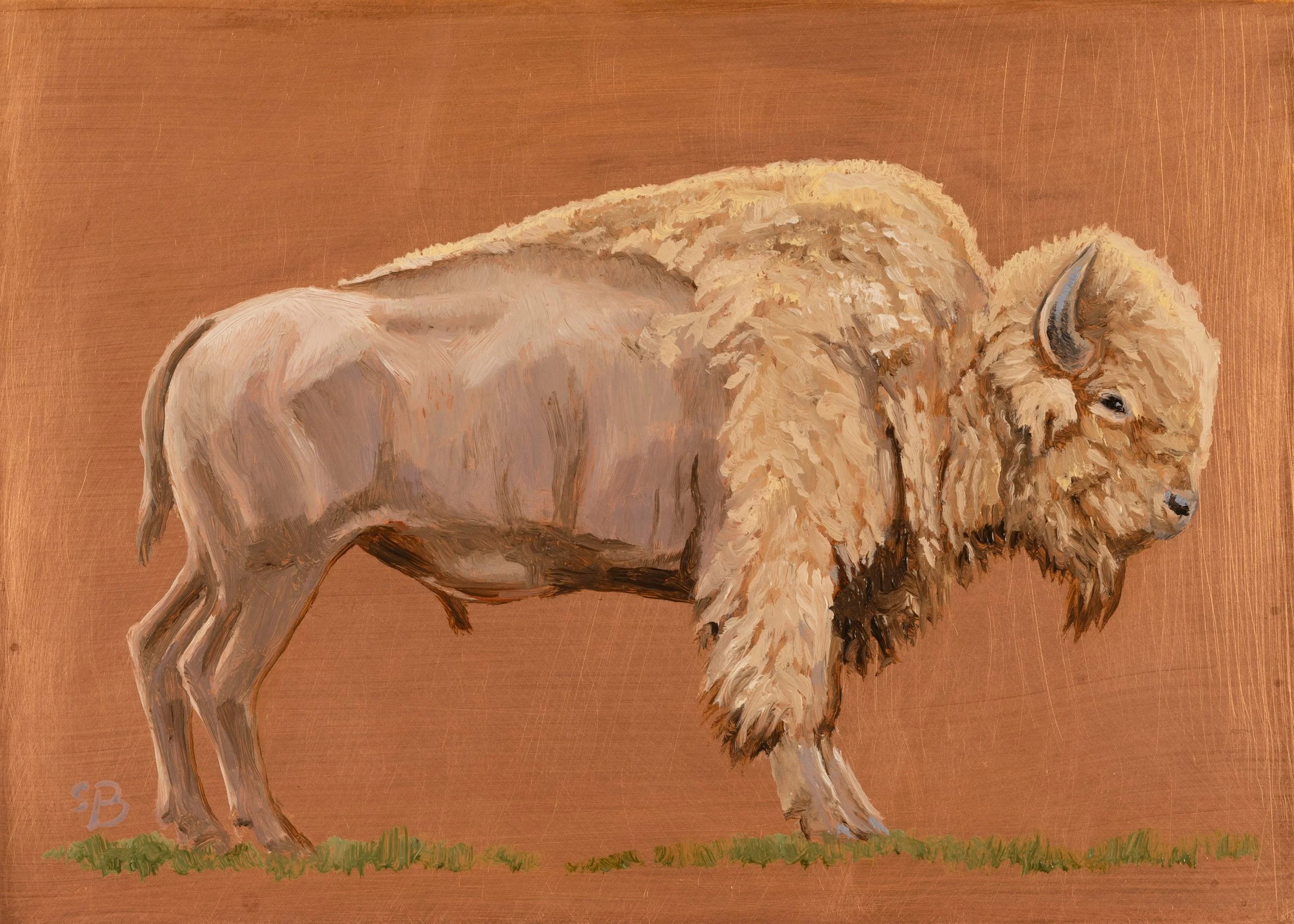 Sarah Boston Fine Art