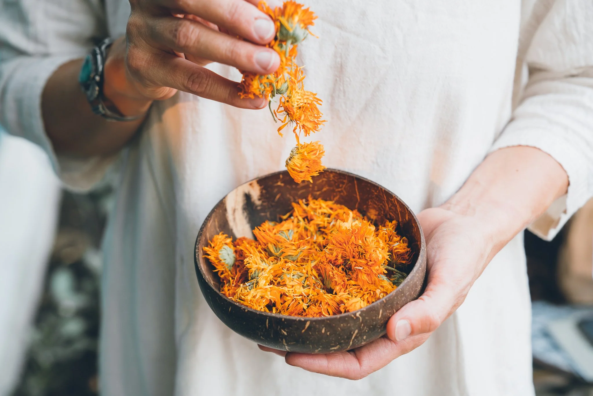 Tea Huntress - Tea Master Course | Enrich Tea Experiences