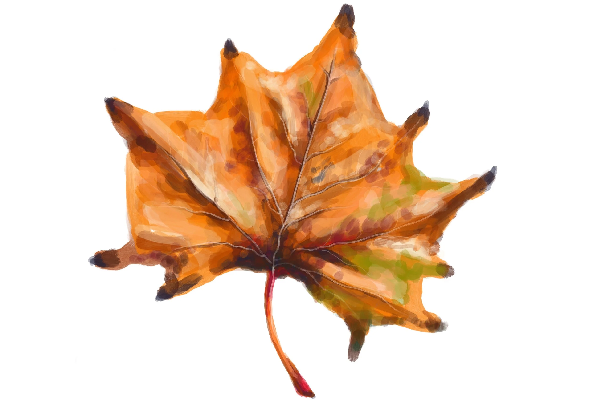 pantone-colors-of-fall-2019-nyu-comm-club