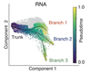 The Embryonic Specification of Interneurons — The Fishell Laboratory