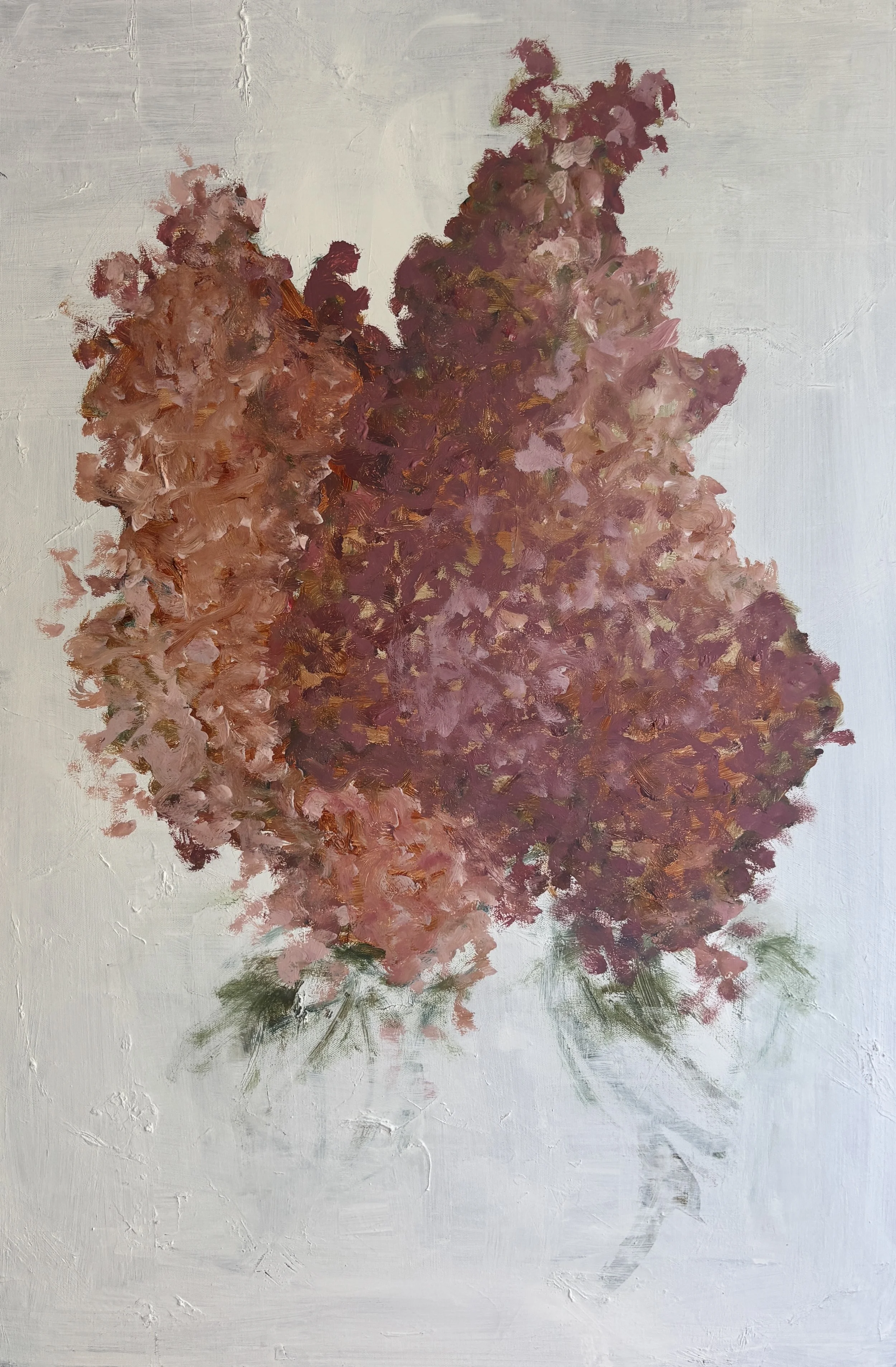 Courtney Muller Studios