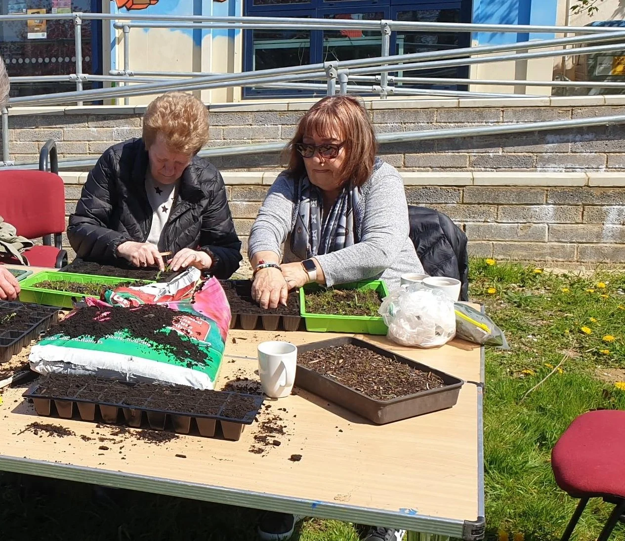 From Seed to 'Weed' — Lockleaze Neighbourhood Trust