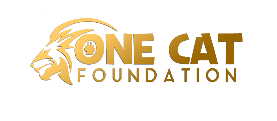 ONE CAT FOUNDATION