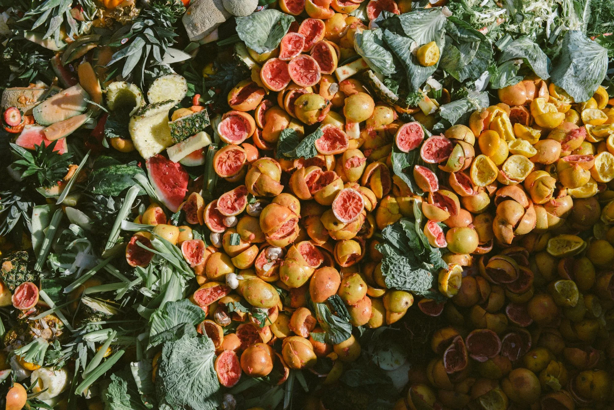 Rust Belt Riders: Feed People, Not Landfills