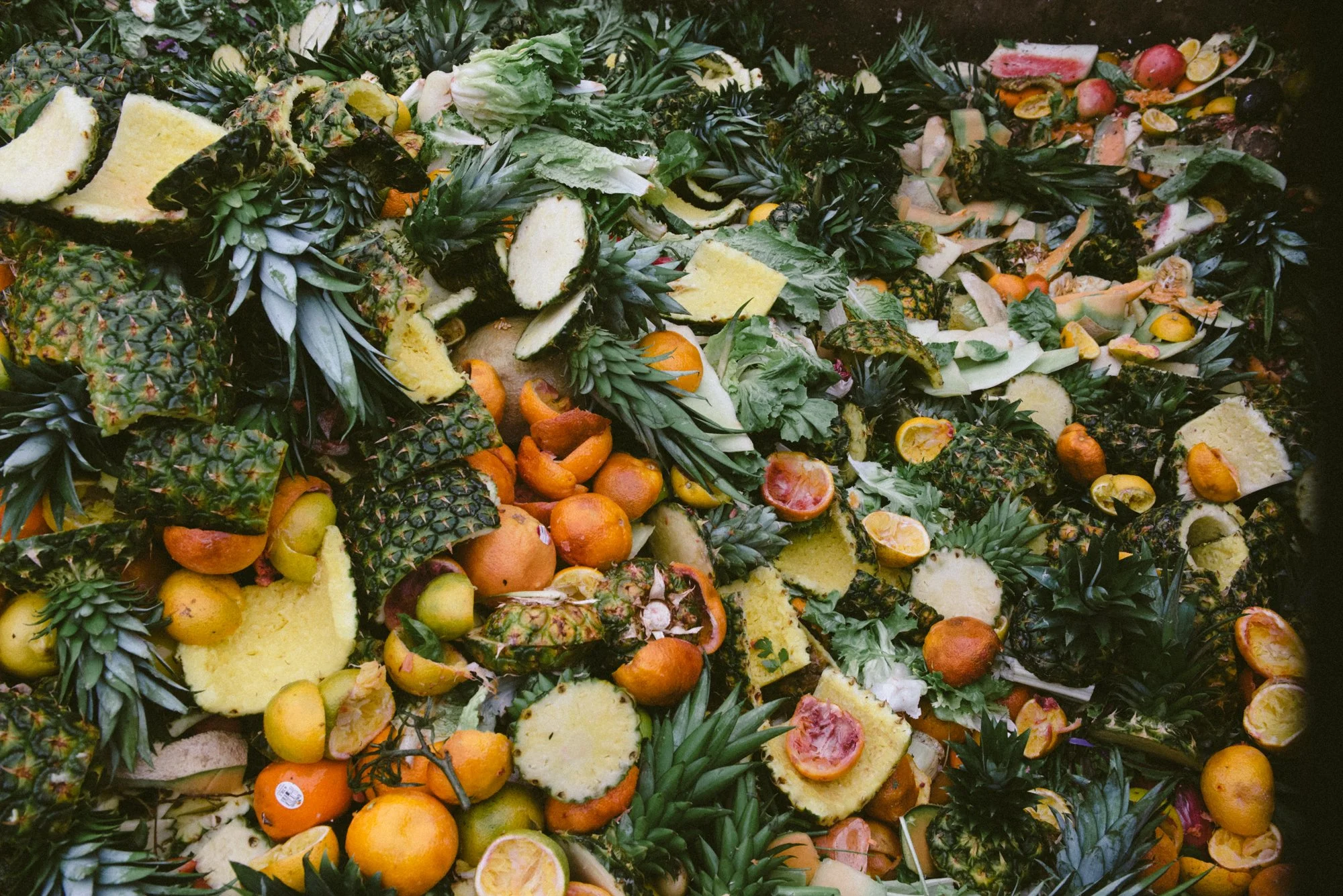 Rust Belt Riders: Feed People, Not Landfills