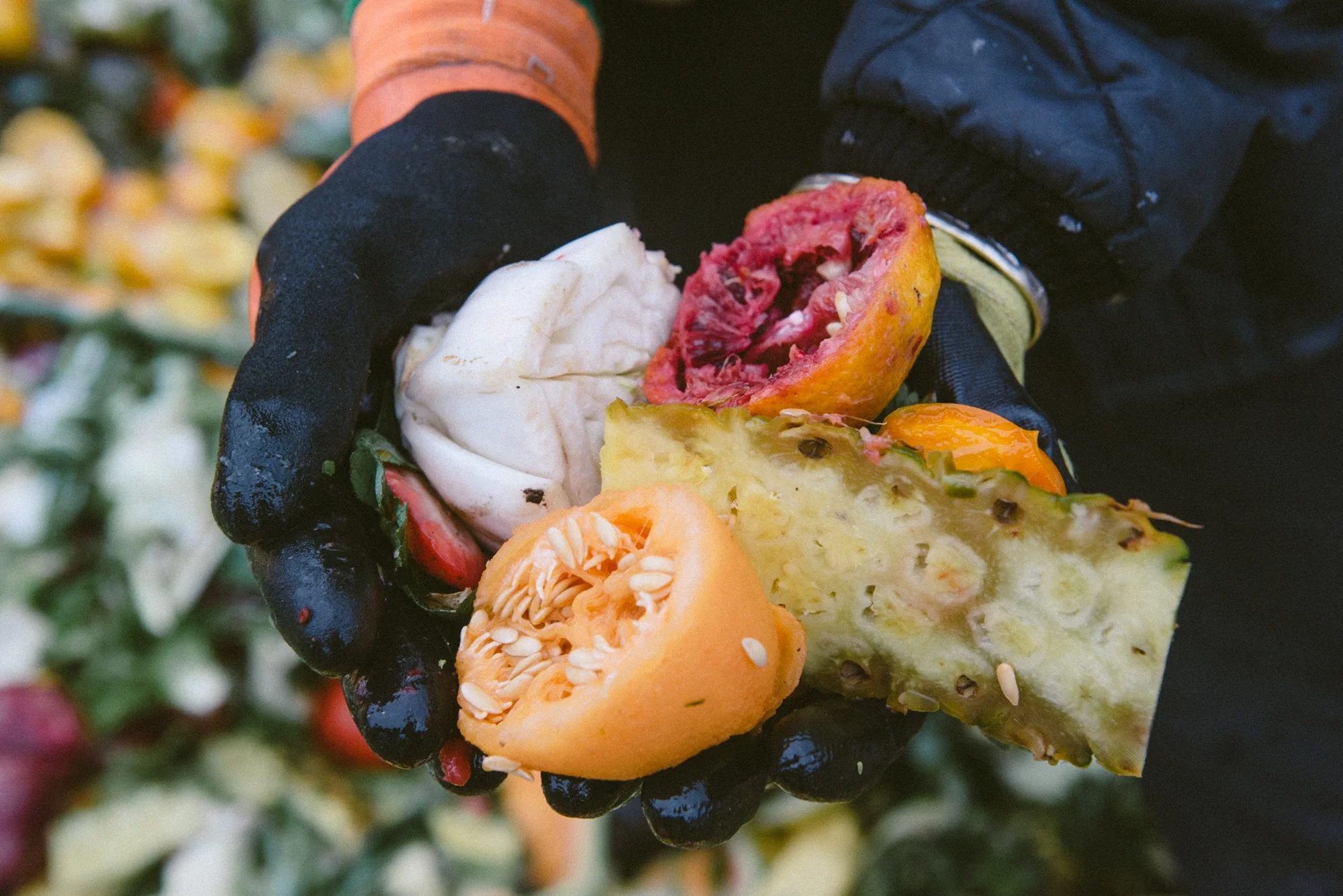 Commercial Composting Services — Rust Belt Riders: Feed People, Not ...