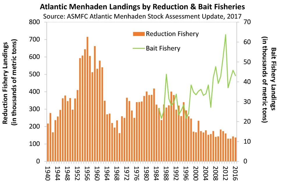 Menhaden Threats — Save Coastal Wildlife