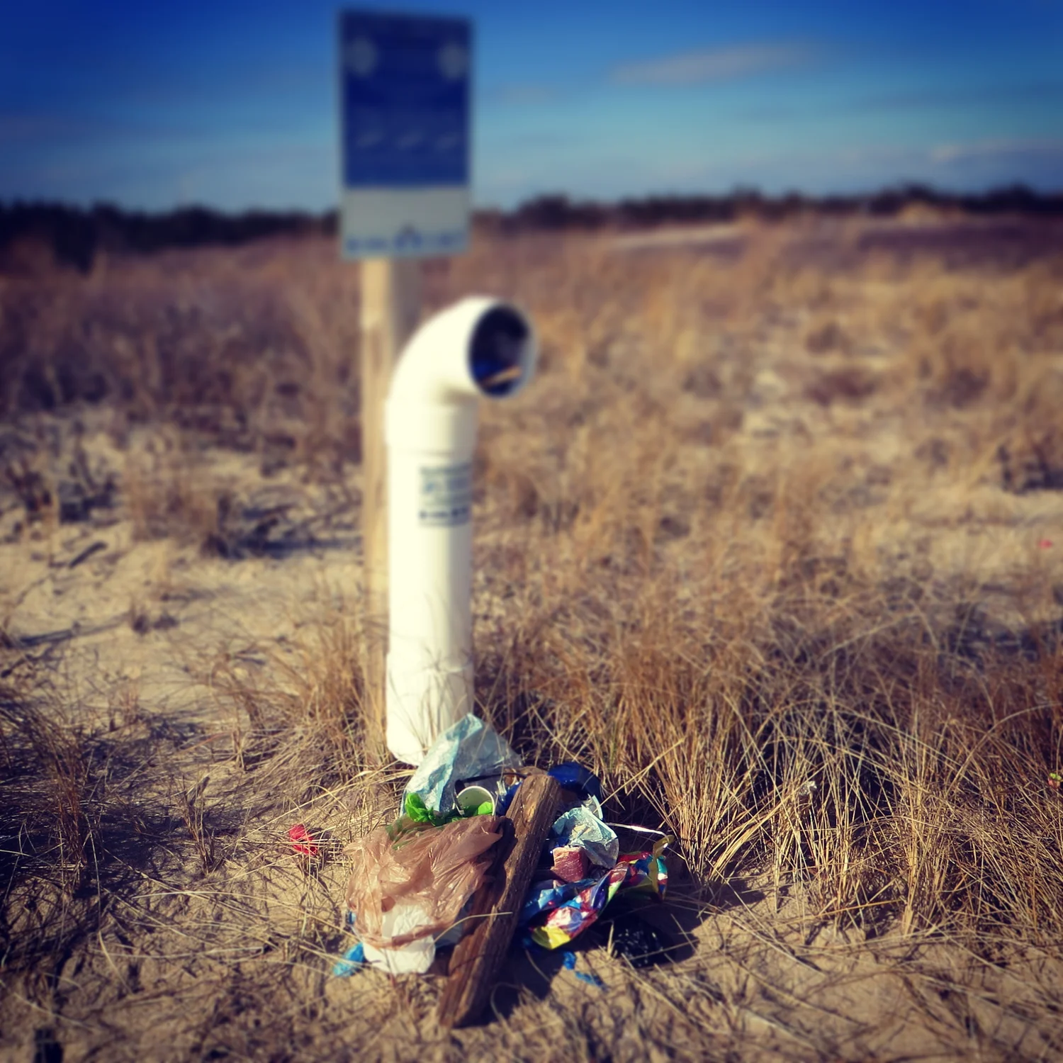 Fishing line is a death trap for coastal wildlife — Save Coastal Wildlife