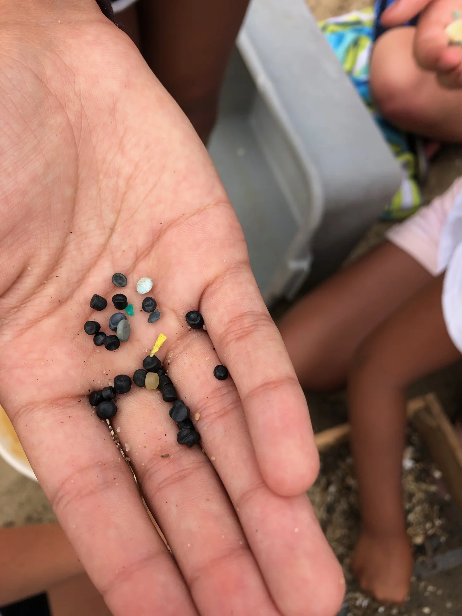 Microplastic Beach Research — Save Coastal Wildlife